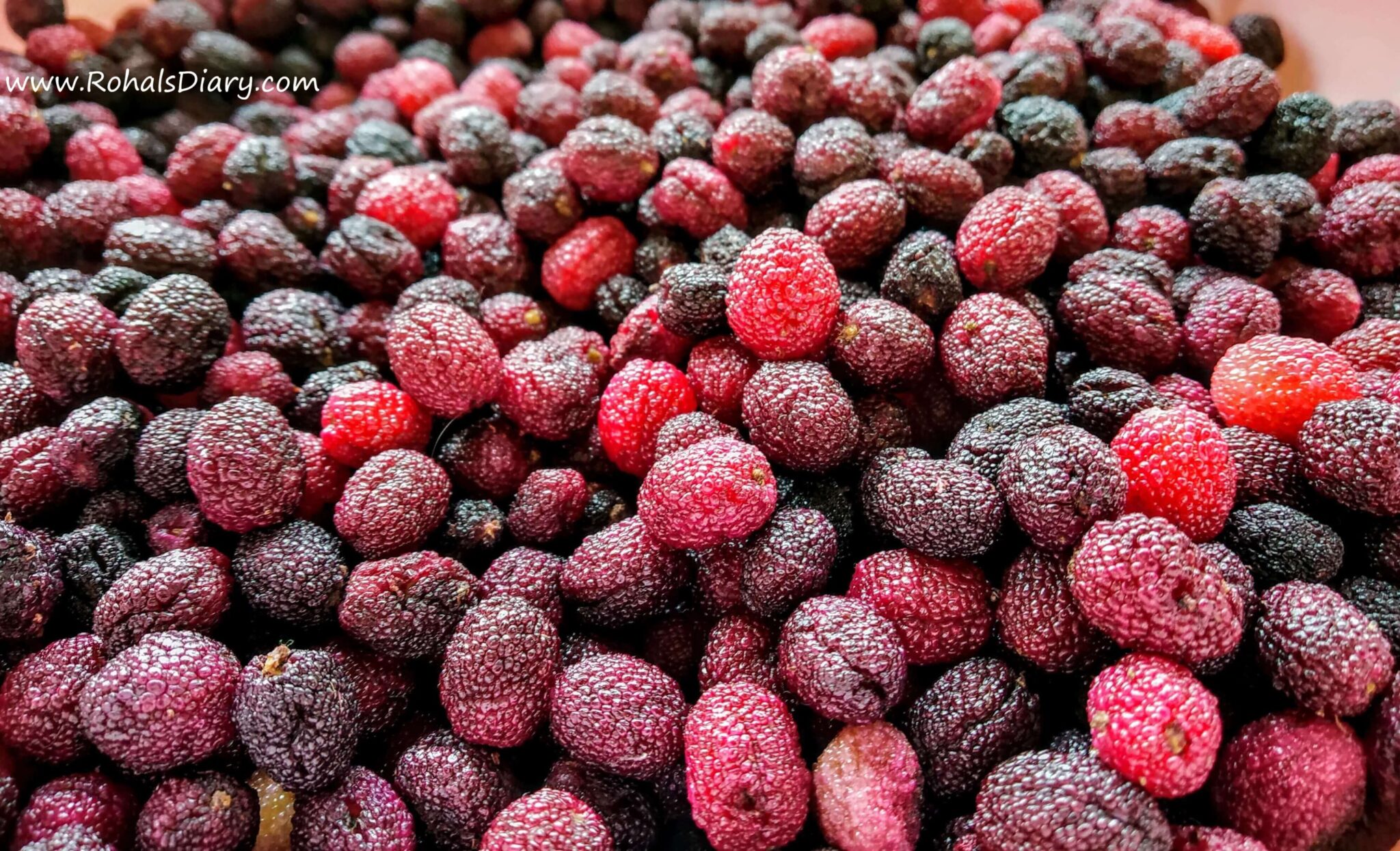 Summer time local fruits to eat in Shimla | Rohal's Diary