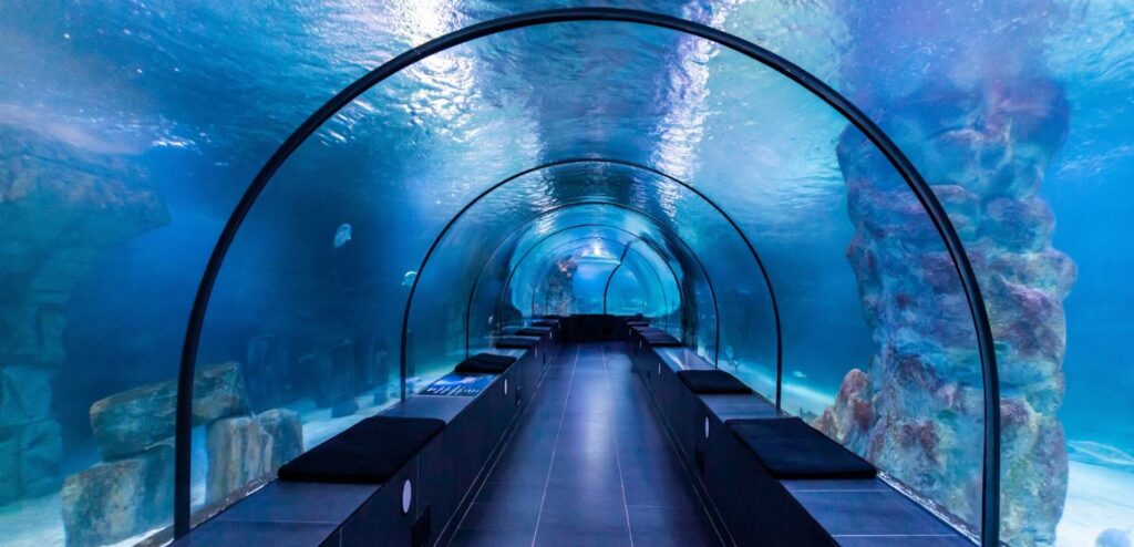 Exploring the Wonders of Aquariums in Istanbul | Rohal's Diary